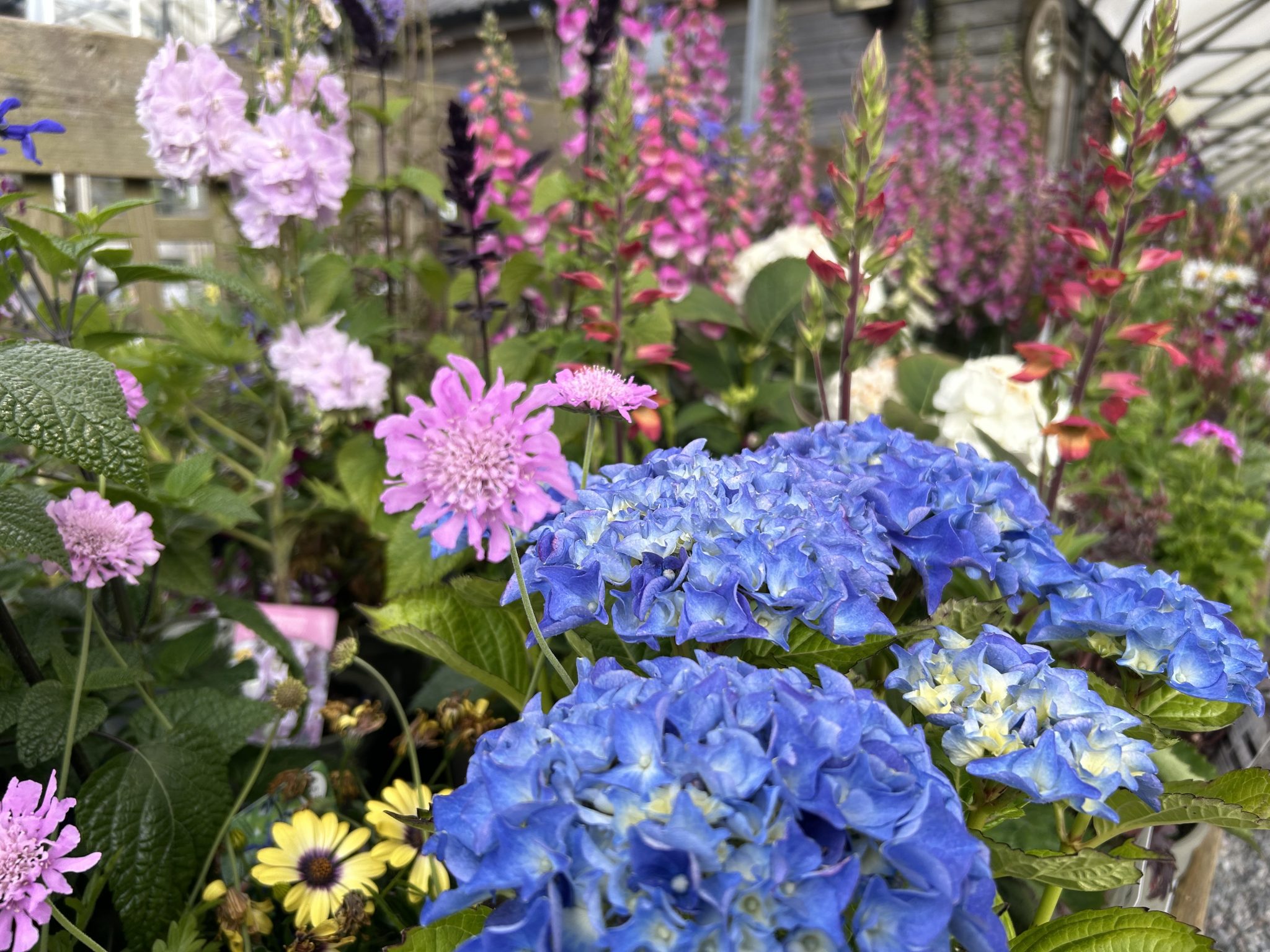 Home - Gardentime